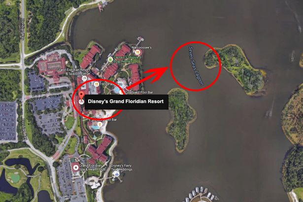 디즈니 호텔에 출몰한 악어 두 살짜리 아이 물어 죽이고 호수로 끌고가(사진 7장) – 포스트쉐어