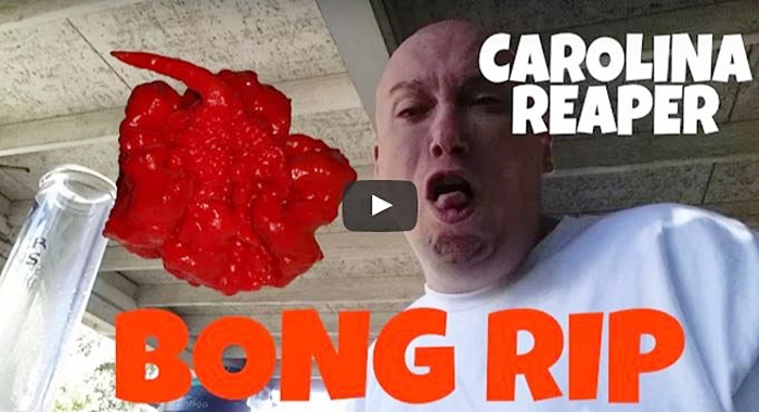 세계에서 가장 ‘매운 고추를 담배로’ 피워본 남성의 최후(동영상) – 포스트쉐어